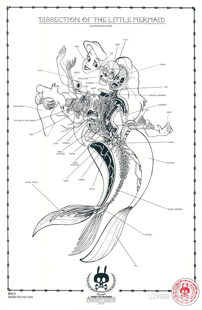 Dissection of Little Mermaid Anatomy Sheet No 24 Silkscreen Print by N ...